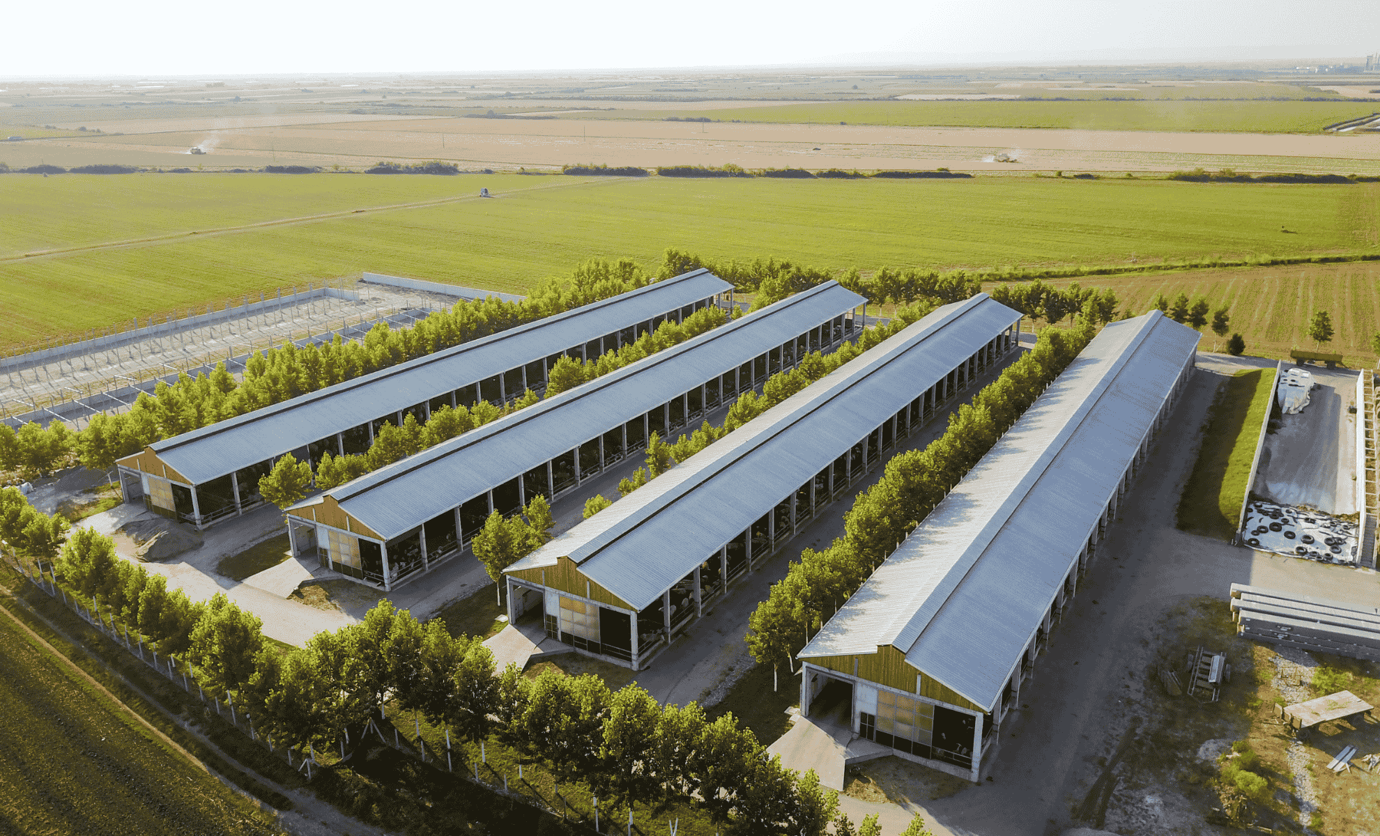 Chicken Production in the UK: Food Supply Chain Insights | Blogs | PPS ...